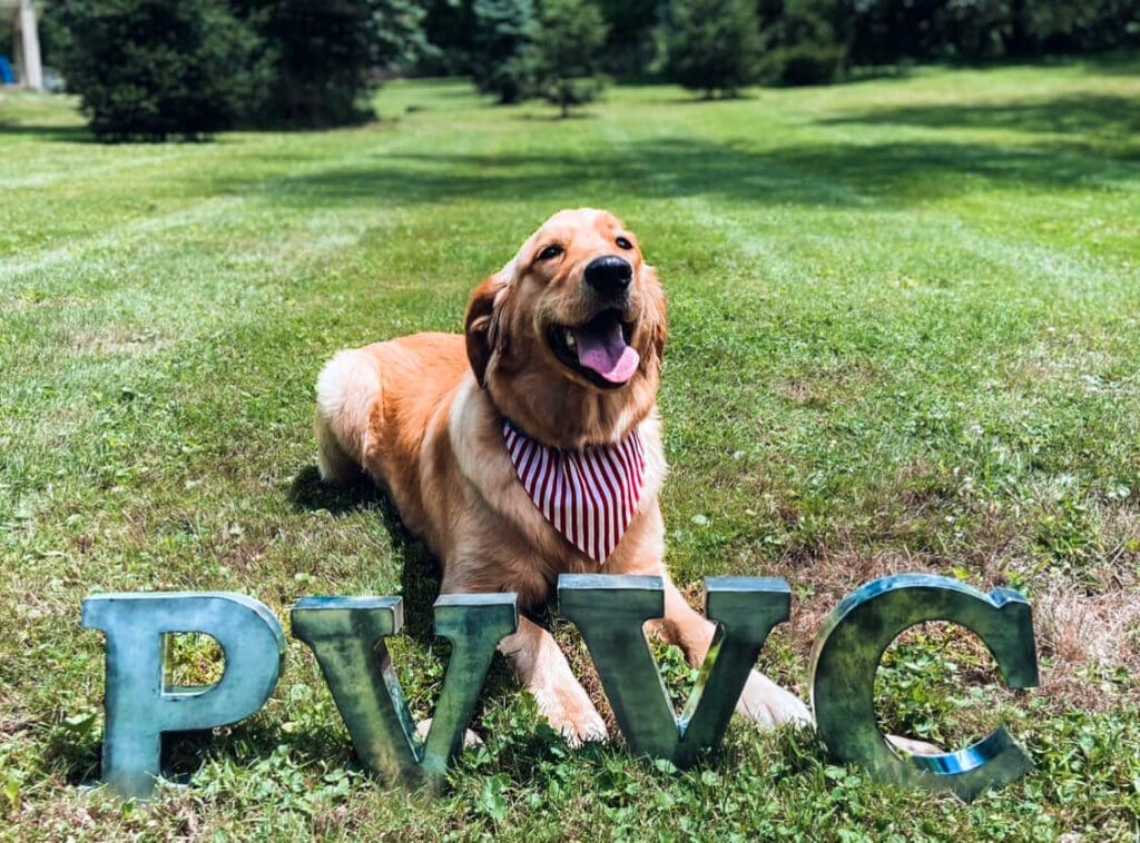 Veterinarian and Animal Hospital in McMurray, PA | Pleasant Valley ...